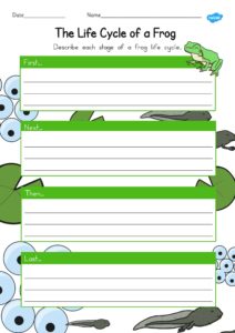 The-Life-Cycle-of-a-Frog-Writing-Frame | Hollins Grundy Primary School
